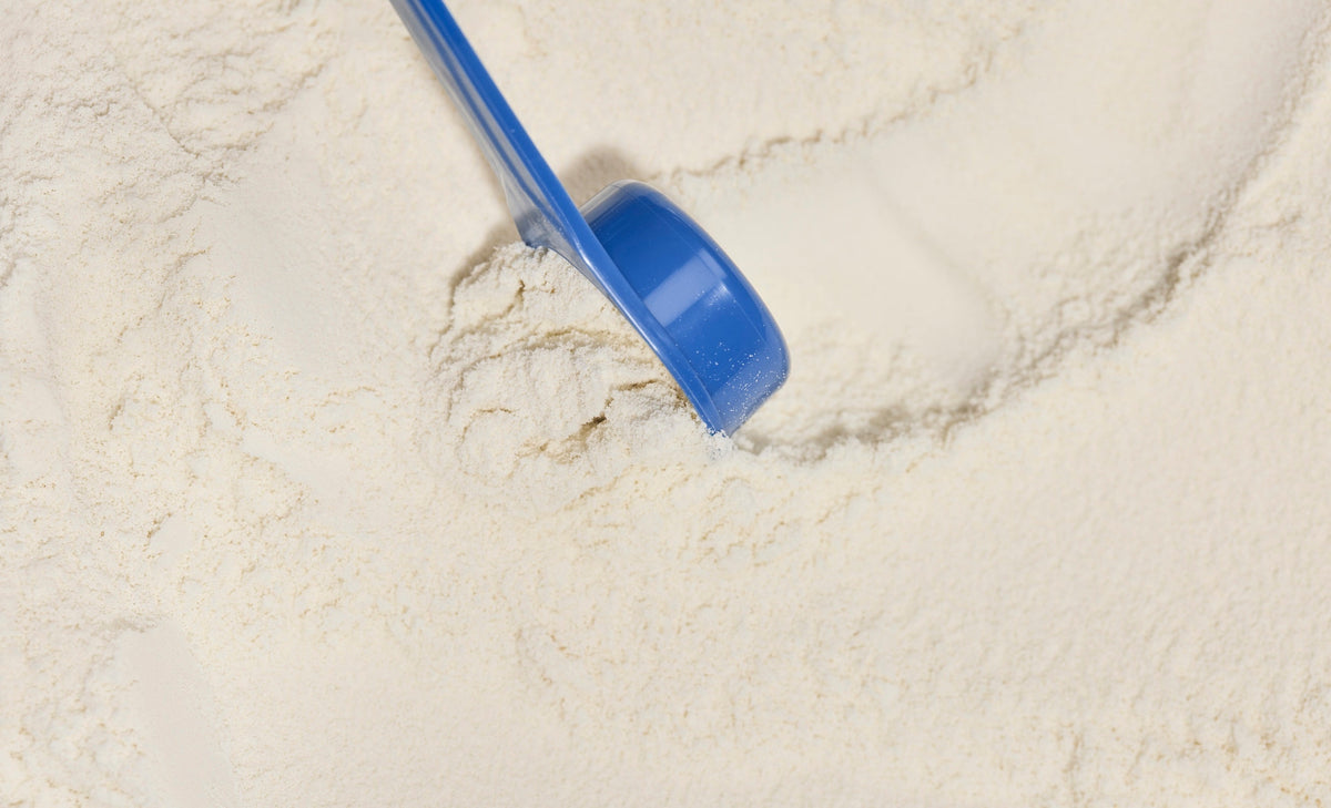 Quality by Design: Testing Protocols for Bacteria – Nara Organics