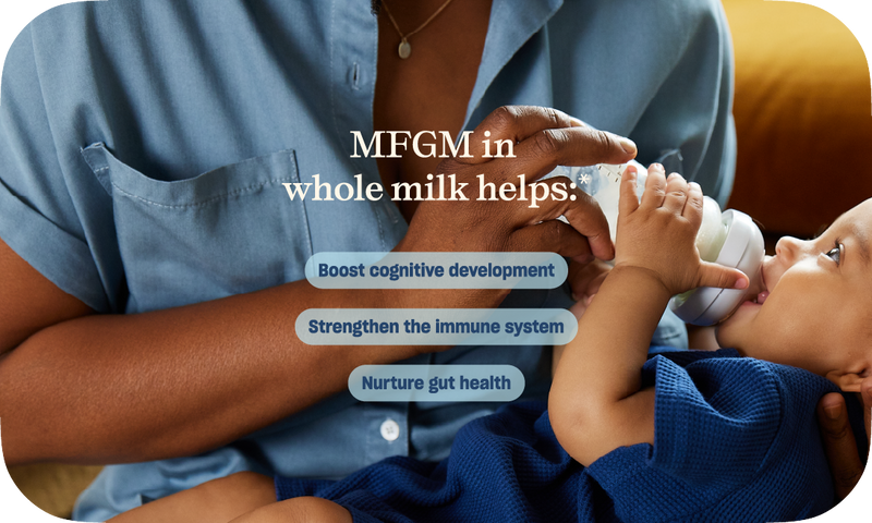 Organic Whole Milk Infant Formula – Full size cans – Nara Organics